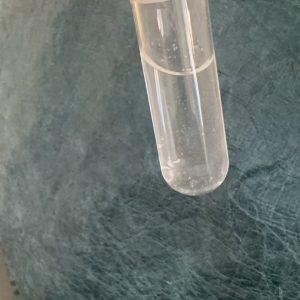 Thiobacillus thioparus DSM 505 ATCC8158 （排硫硫杆菌） – 北京生物保藏中心|北京保藏生物科技有限公司 ...